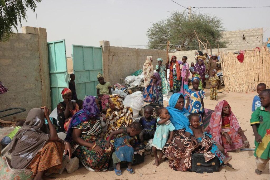Starving Nigerian refugees in Chad eat grass to survive – Radio ...