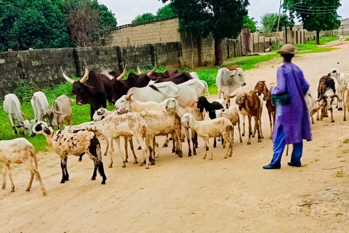 Five farmers wounded in clash with Fulani herders – Radio Ndarason ...