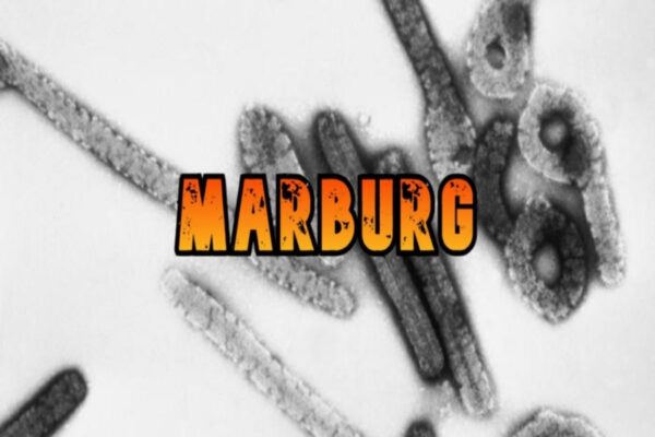 Tchad : Le ministère de la santé annonce l’apparition du virus Marburg en Afrique – Radio ...