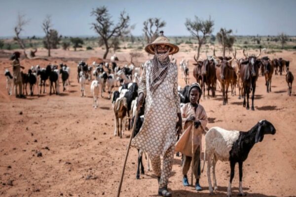 Sahel/Humanitaire : Des millions de personnes souffrent du changement ...